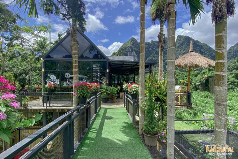 สูดอากาศบริสุทธิ์ มองวิวเขา Bridge hill café เขาสก | ไปด้วยกัน เว็บไซต์ ...
