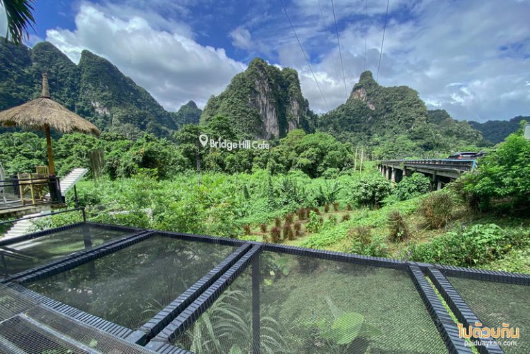 สูดอากาศบริสุทธิ์ มองวิวเขา Bridge hill café เขาสก | ไปด้วยกัน เว็บไซต์ ...