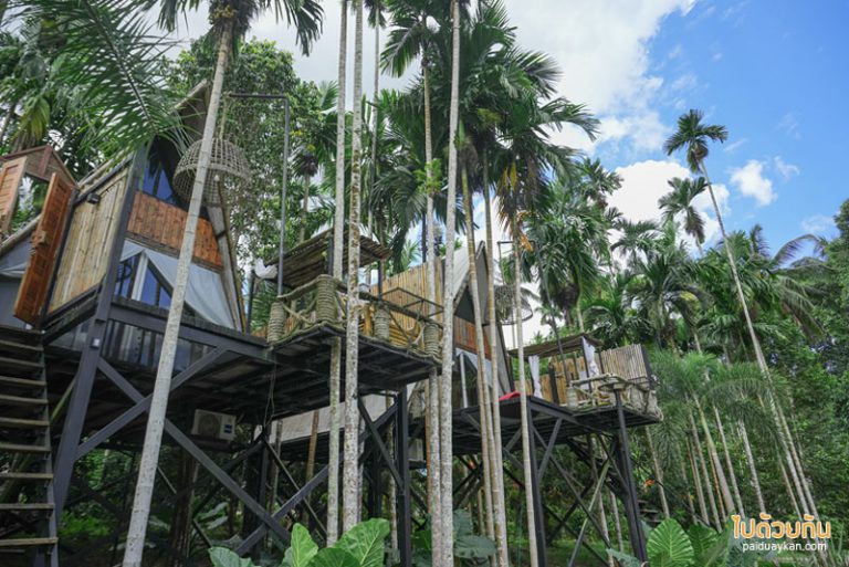 สูดอากาศบริสุทธิ์ มองวิวเขา Bridge hill café เขาสก | ไปด้วยกัน เว็บไซต์ ...