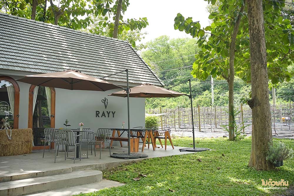 RAYY CAFÉ มวกเหล็ก คาเฟ่ร่มรื่น กลางป่าสัก
